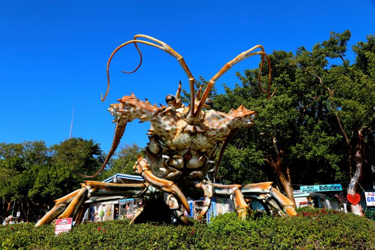 Big Betsy, le homard géant et son village d'artistes | Lost In The USA