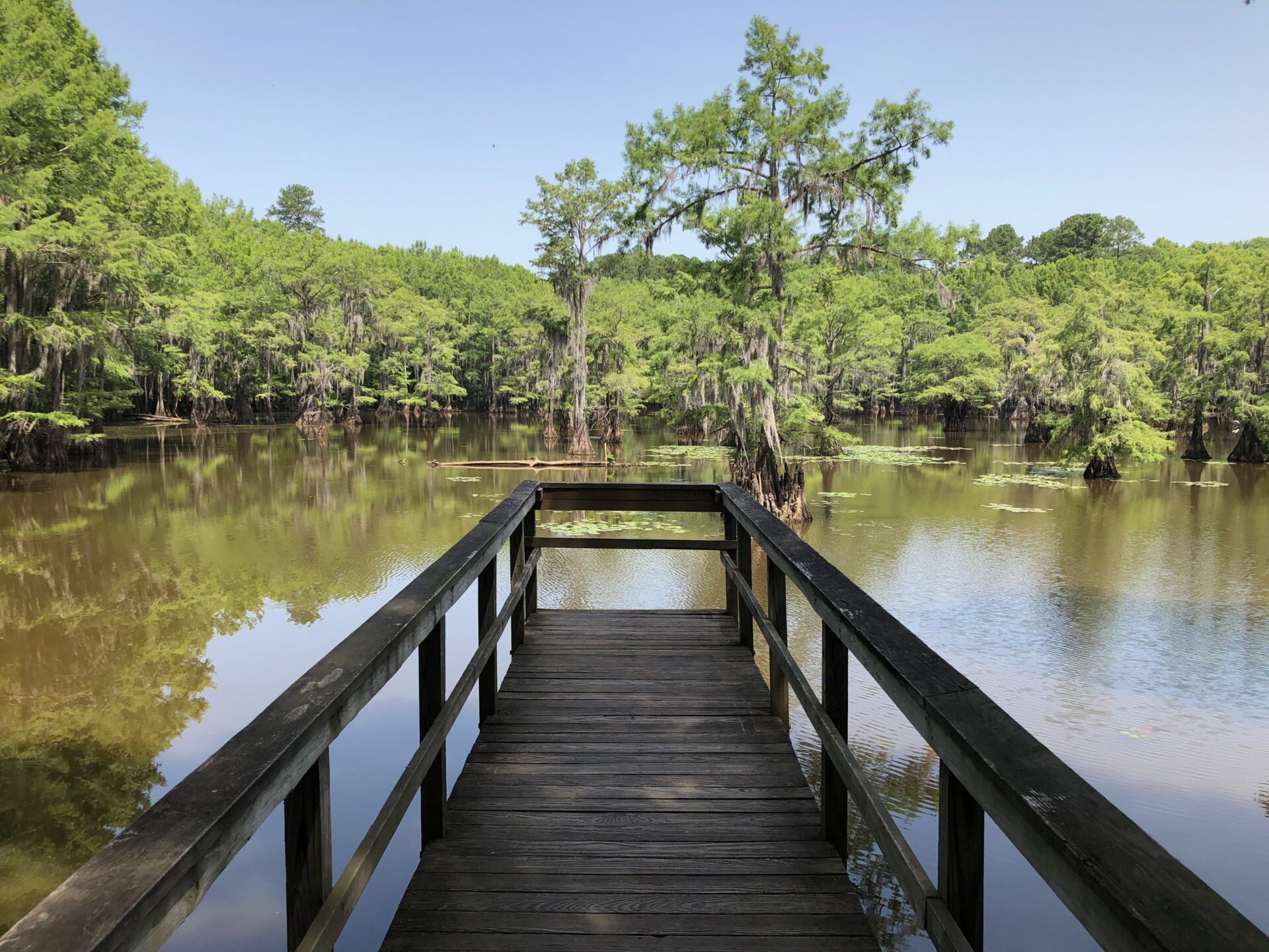 Caddo Lake State Park, le guide | Lost In The USA