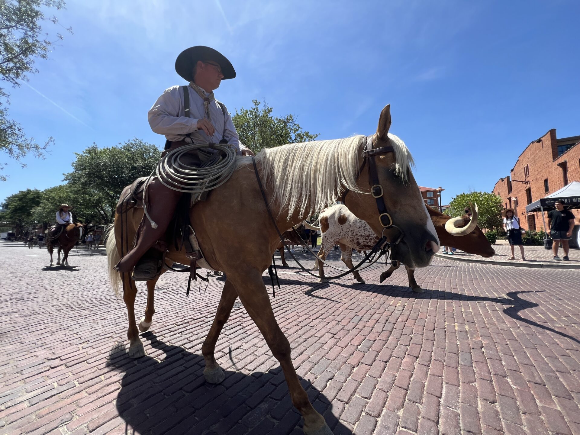 Texas : nos incontournables à Dallas et Fort Worth y’all ! | Lost In ...